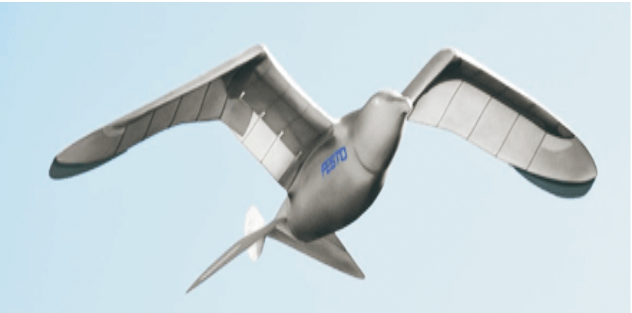 扑翼飞行器的研究现状与发展