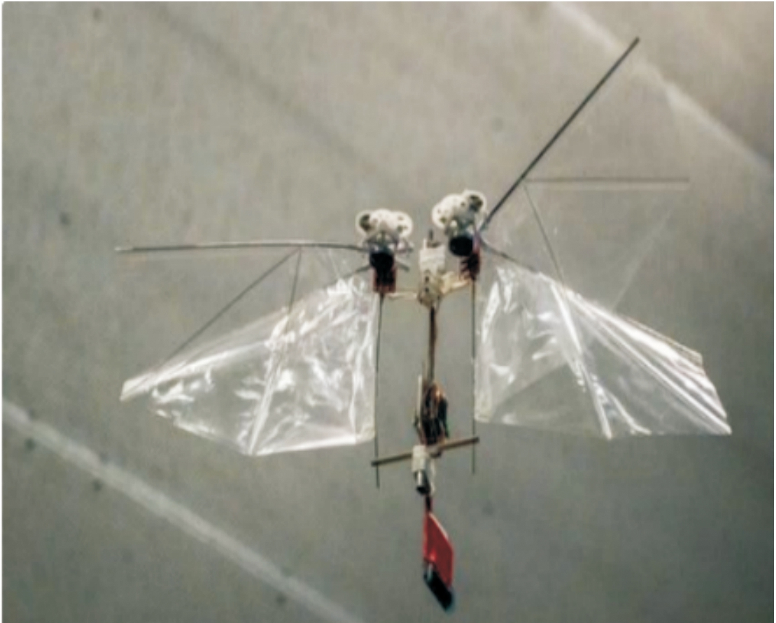 扑翼飞行器的研究现状与发展